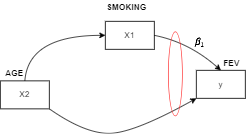Confounding Variables in Regression Analysis - Mohammed Arebi